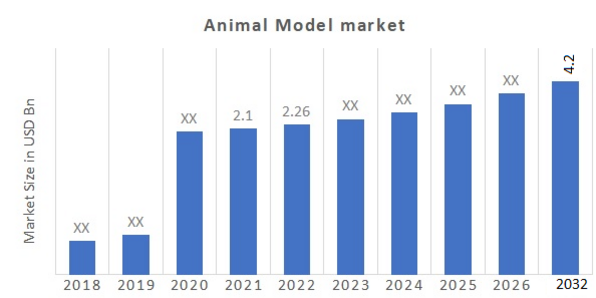 Animal Model Market Demand and Analysis by 2032 | MRFR