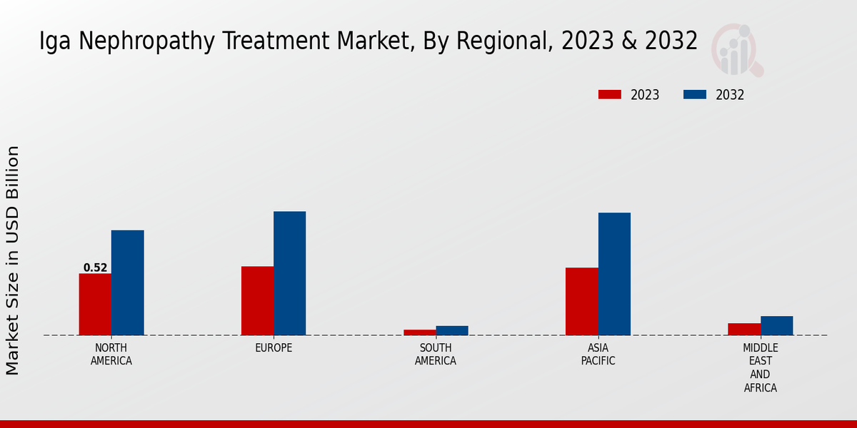 IGA Nephropathy Treatment Market Size, Growth, Trends 2034 | MRFR