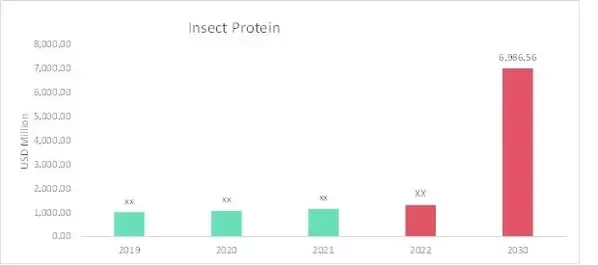 Insect Protein Market Demand, Size, Industry, Share, Growth