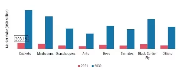 Insect Protein Market Demand, Size, Industry, Share, Growth