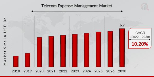 Telecom Expense Management Market Size And Trends Report, 2030