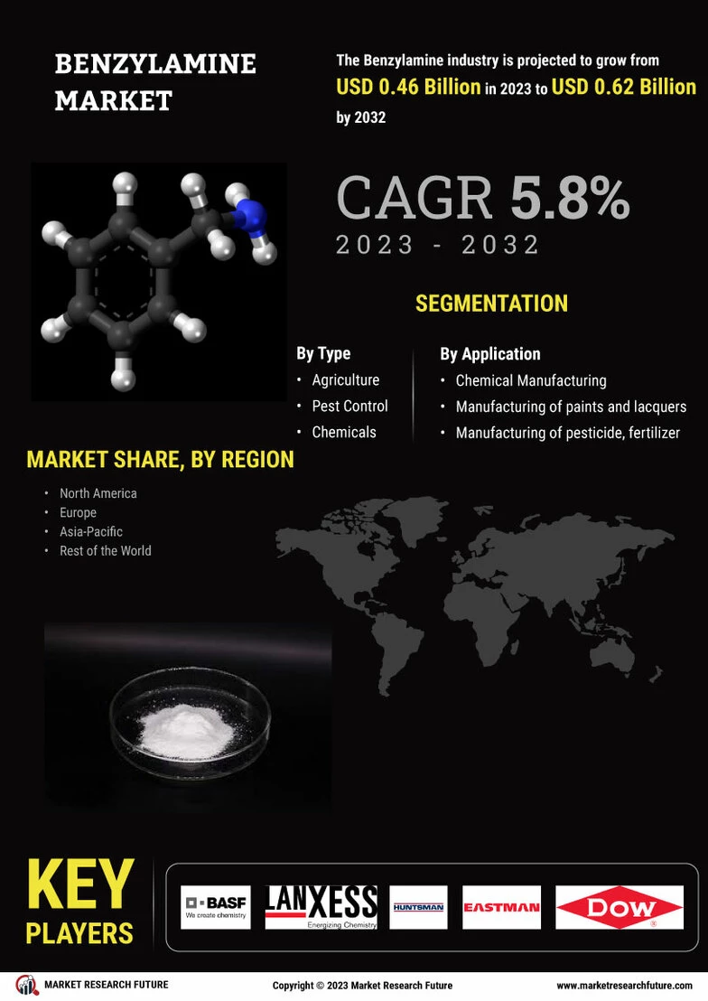 Benzylamine Market Size, Share & Forecast Report 2035