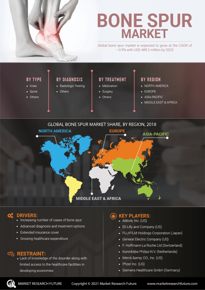 Bone Spur Market Size, Share, Trends, Growth, Report 2035