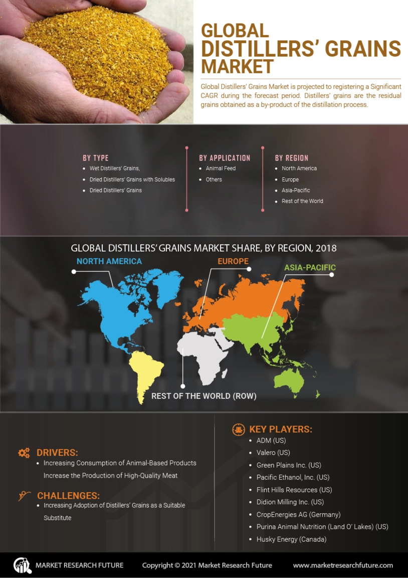 Distillers Grains Market Size, Share, Growth, Report, by 2035