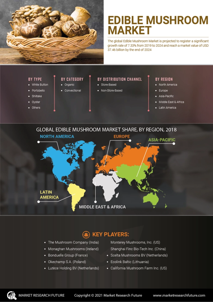Edible Mushroom Market Trends, Size, Share | Forecast 2035