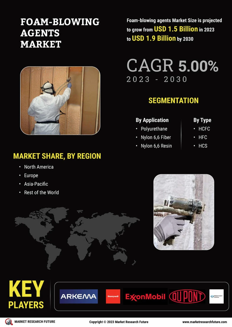 Foam Blowing Agents Market Size, Share & Forecast Report 2030