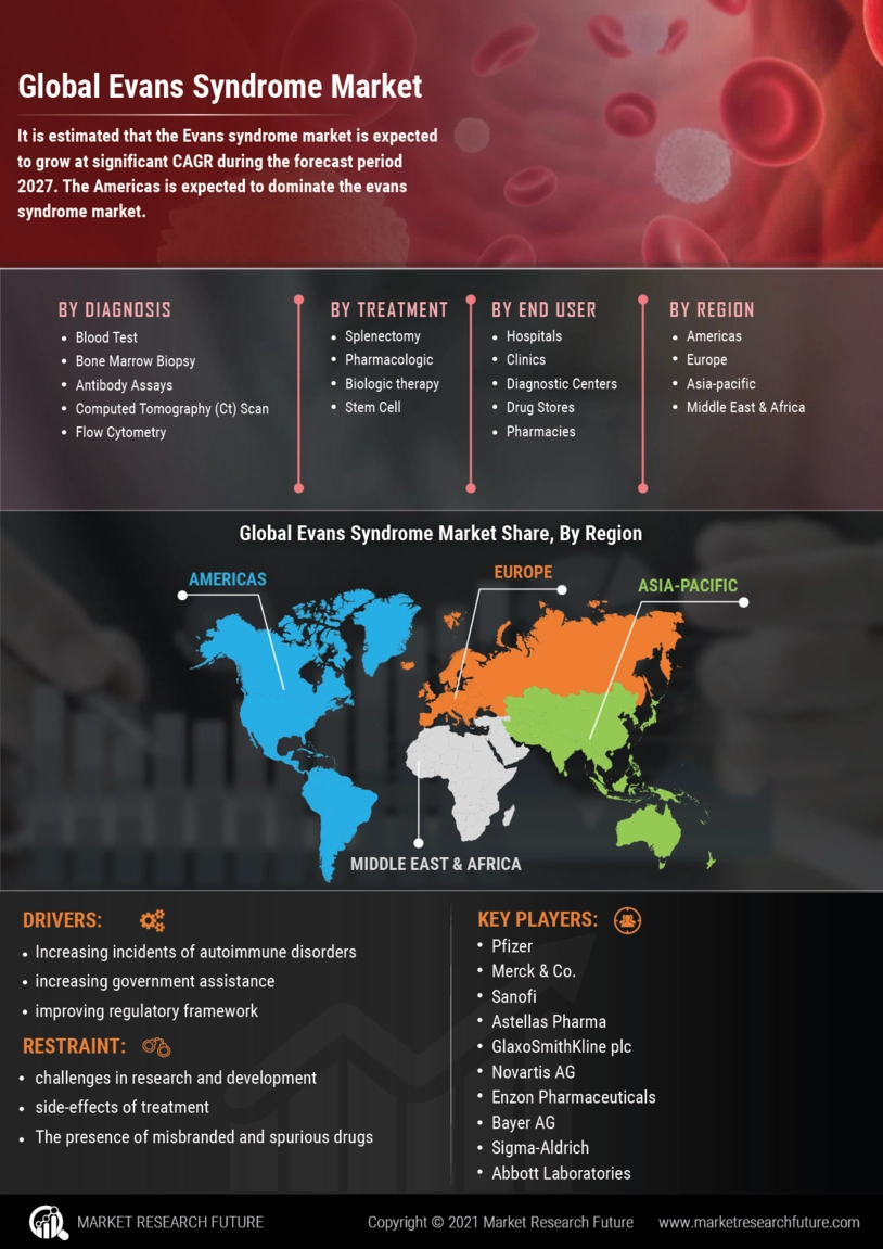 Evans Syndrome Market Size, Share, Trends, Growth Till 2035