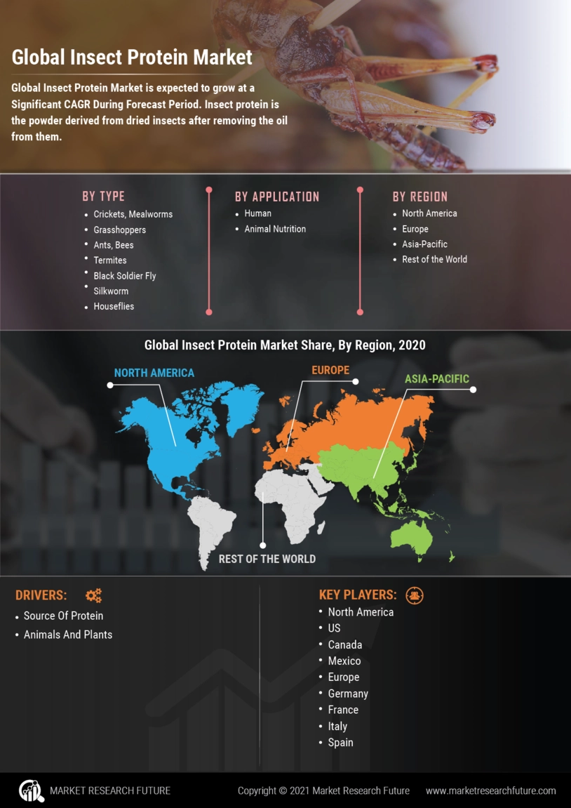 Insect Protein Market Demand, Size, Industry, Share, Growth