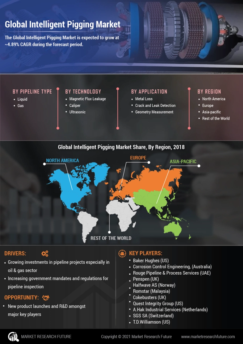 Intelligent Pigging Market Size, Share, Growth Report, 2035