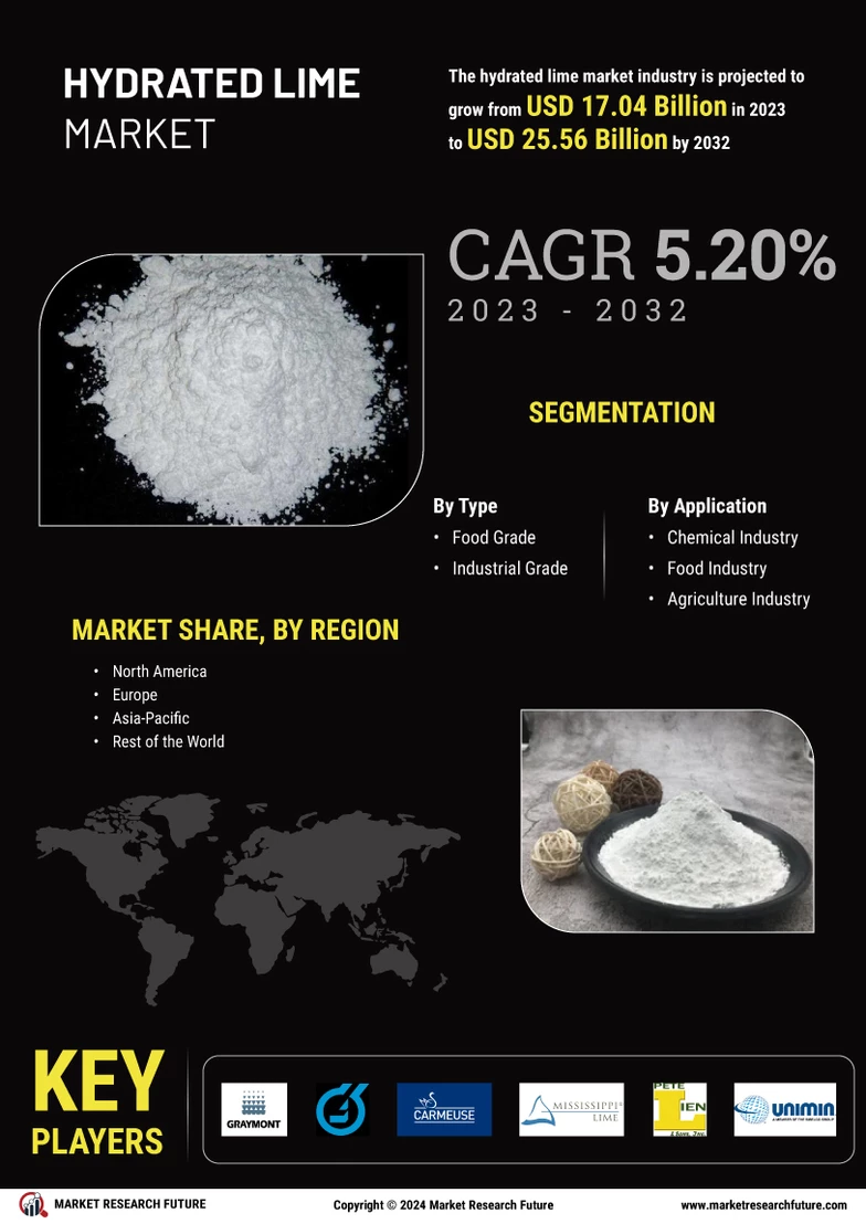 Hydrated Lime Market Size, Share & Forecast Report 2035