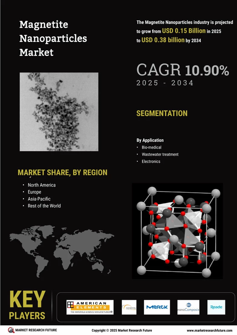Magnetite Nanoparticles Market Size, Share & Industry Report 2035