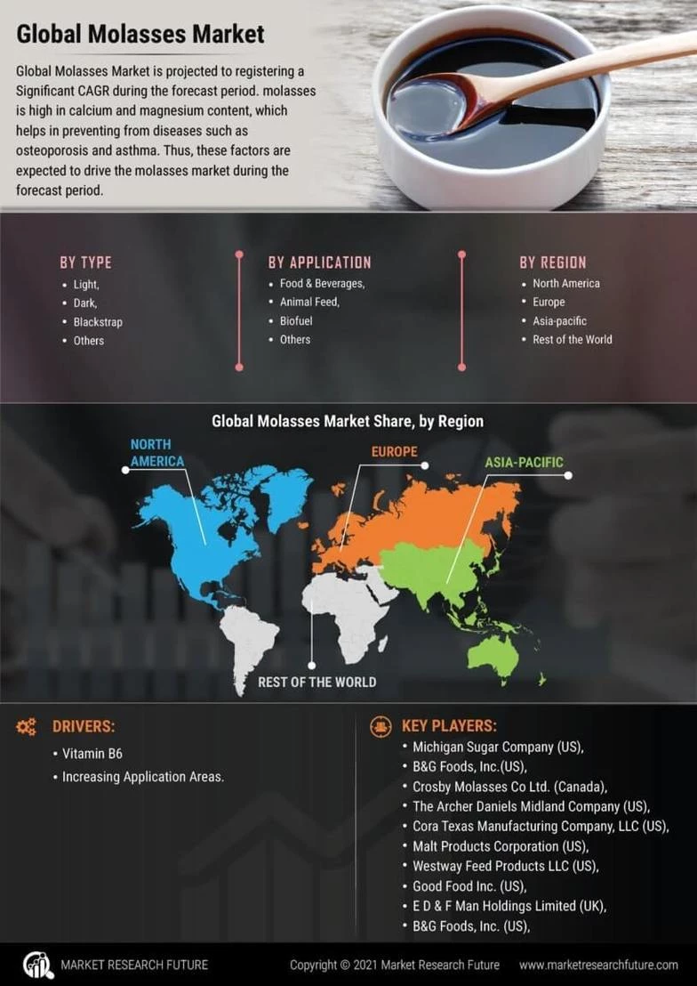 Molasses Market Size, Share, Industry Analysis Till 2035