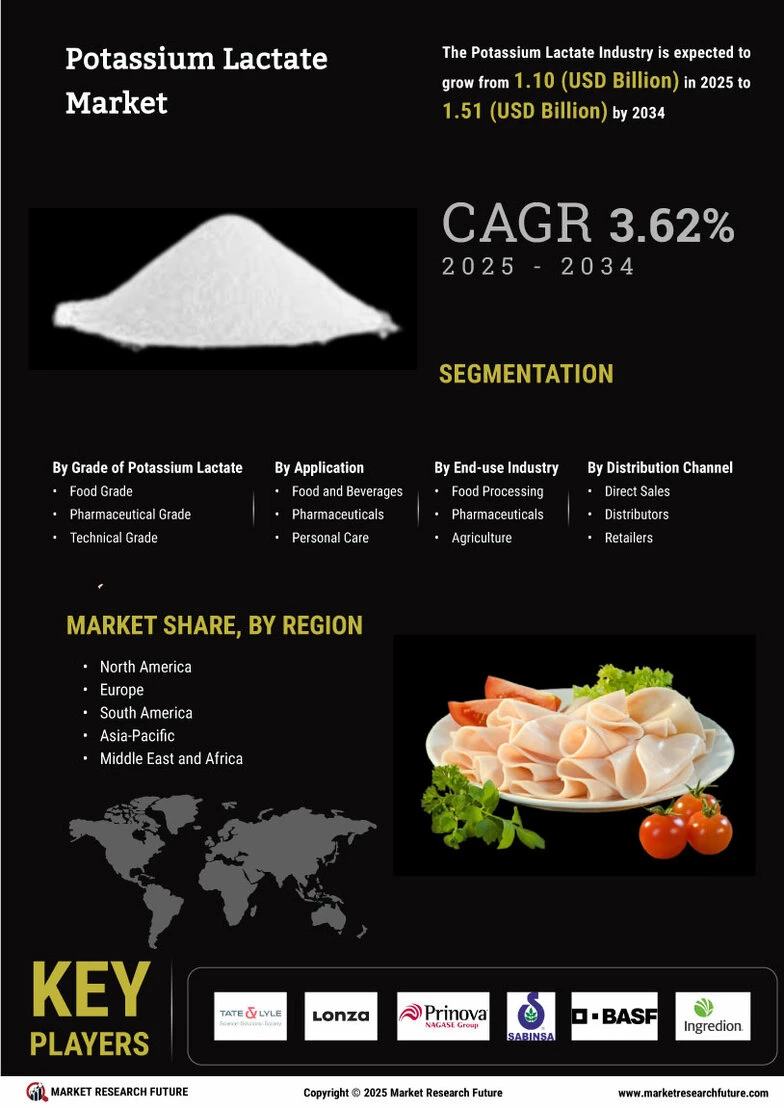 Potassium Lactate Market Size, Share & Forecast Report 2035