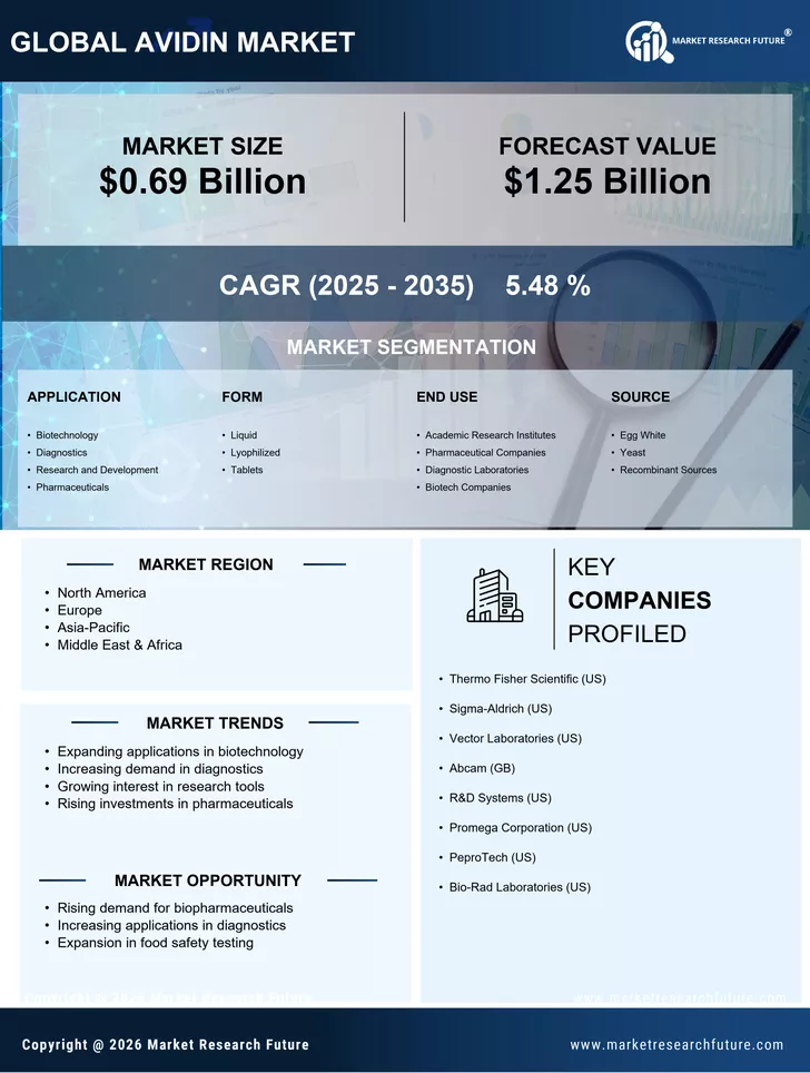 Avidin Market Size, Share, Analysis & Industry Report 2035
