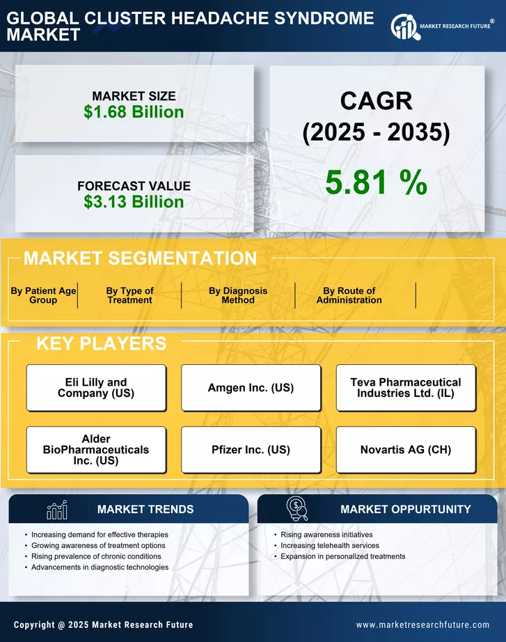 Cluster Headache Syndrome Market Size, Growth Report 2035
