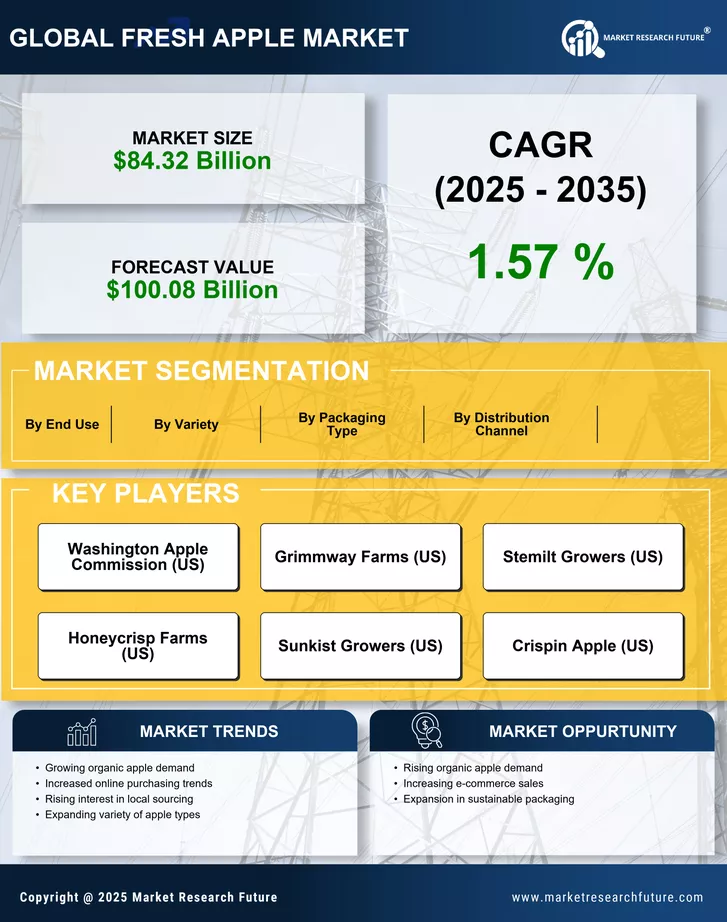 Fresh Apple Market Size, Share, Growth Report, 2035