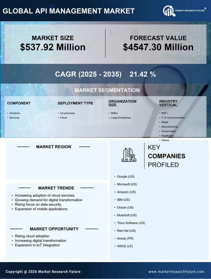 India API Management Market Size, Share & Future Scope | 2035