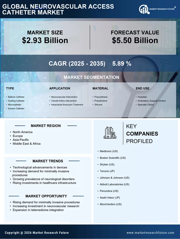 Neurovascular Access Catheter Market Growth Report, 2035
