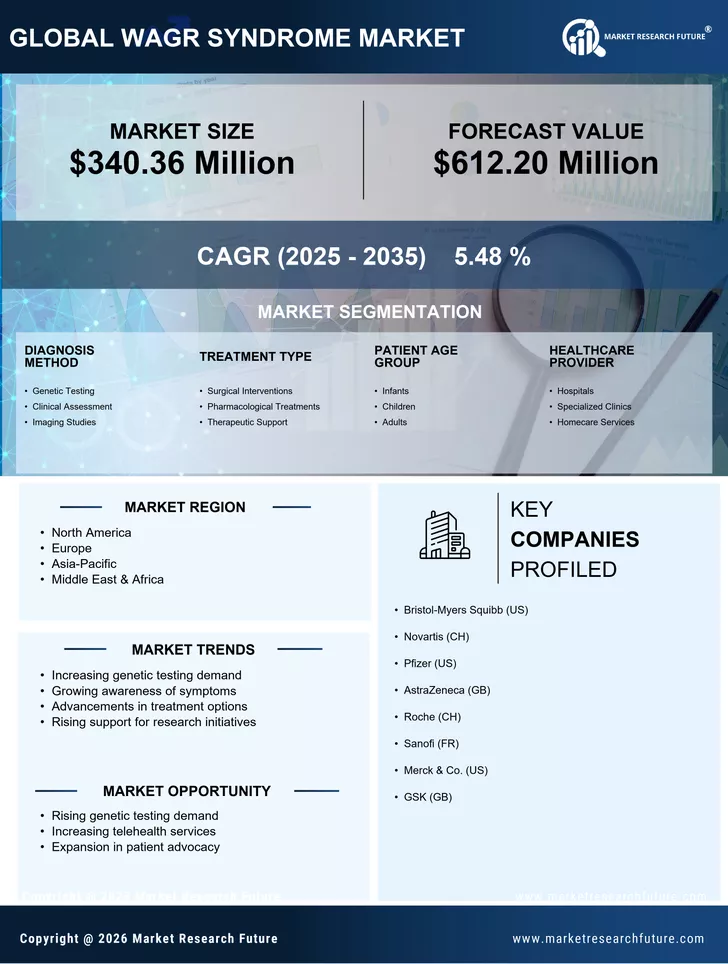 WAGR Syndrome Market Size, Growth Outlook 2035