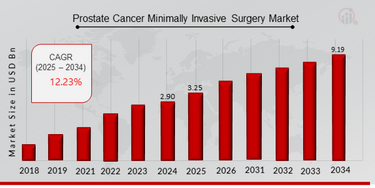 Minimally Invasive Prostate Surgery