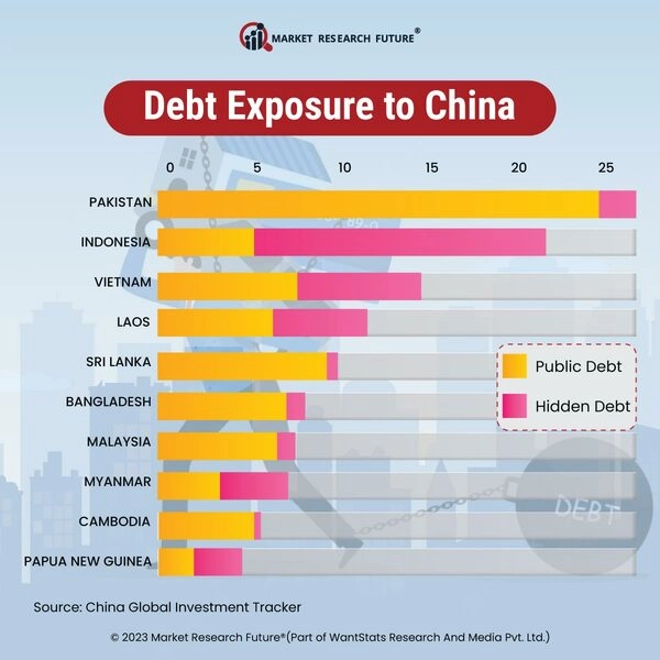 China Bailed Out Countries by Lending Bilateral Emergency Loans - News